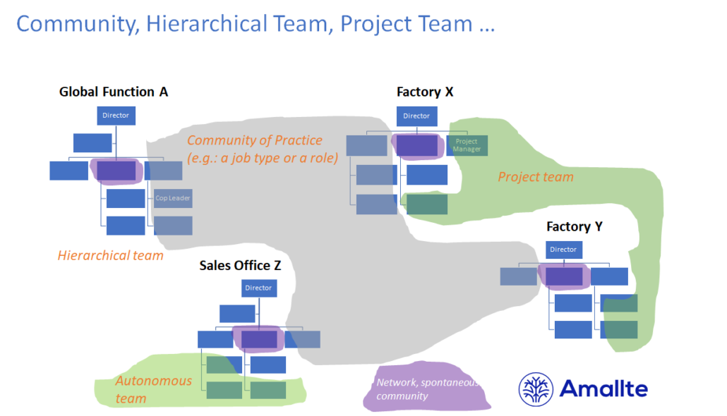 The Communities, a New Model of Organization? - Amallte
